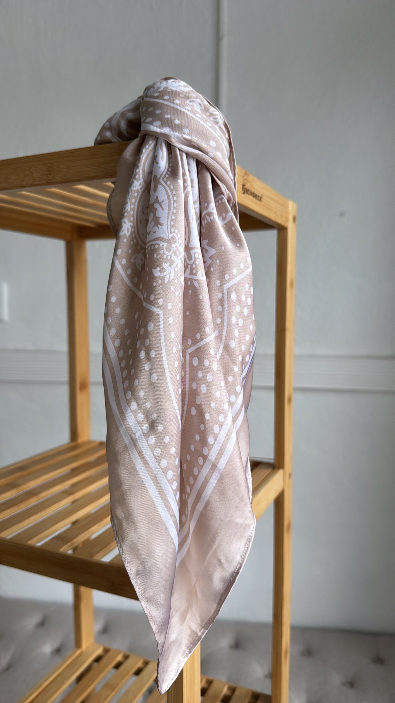 Silky Paisley Twilly Scarf, Sand – Everyday Chic Boutique